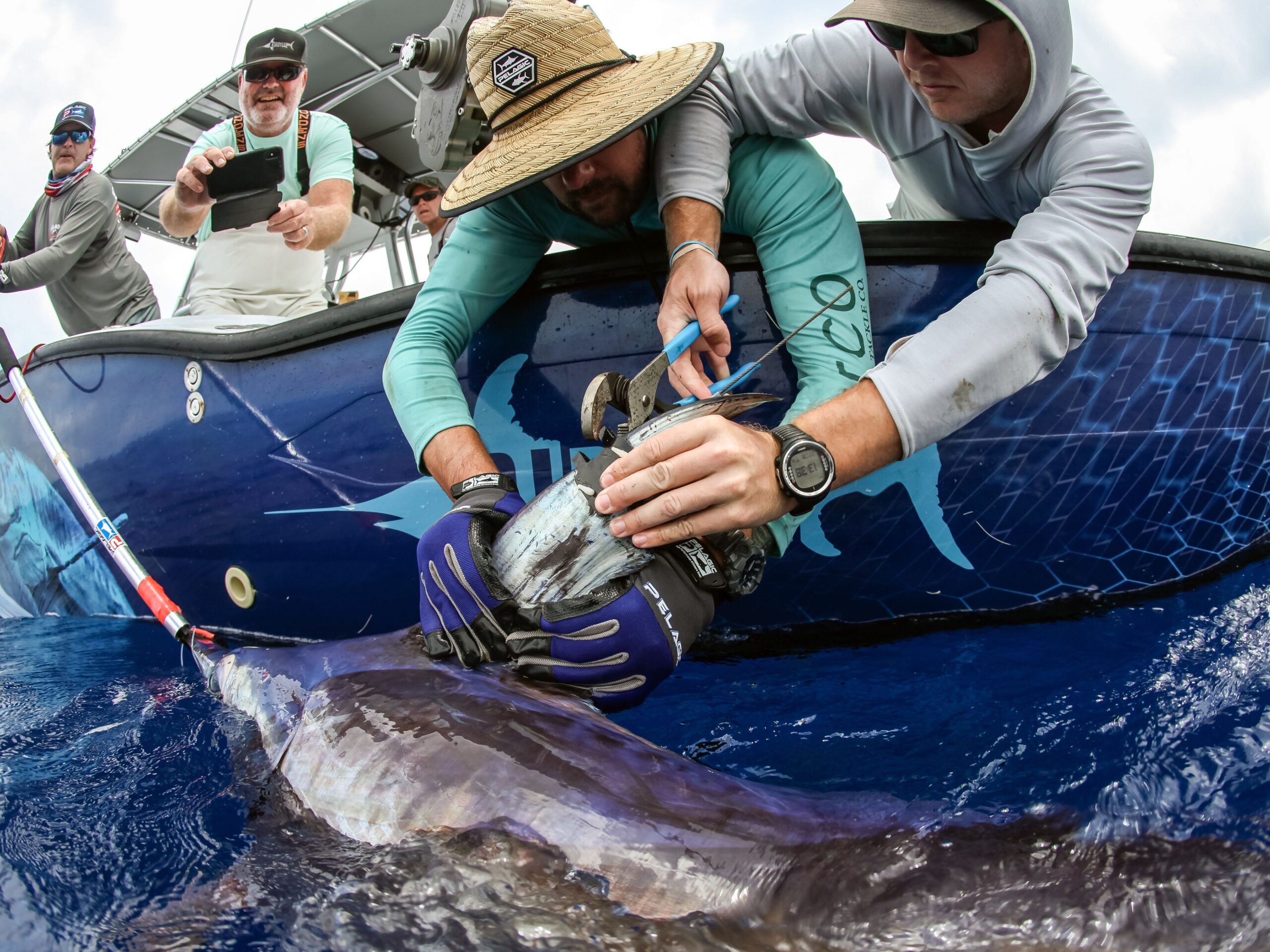 Oceanic discoveries through shark chasing | Applied Physics Laboratory